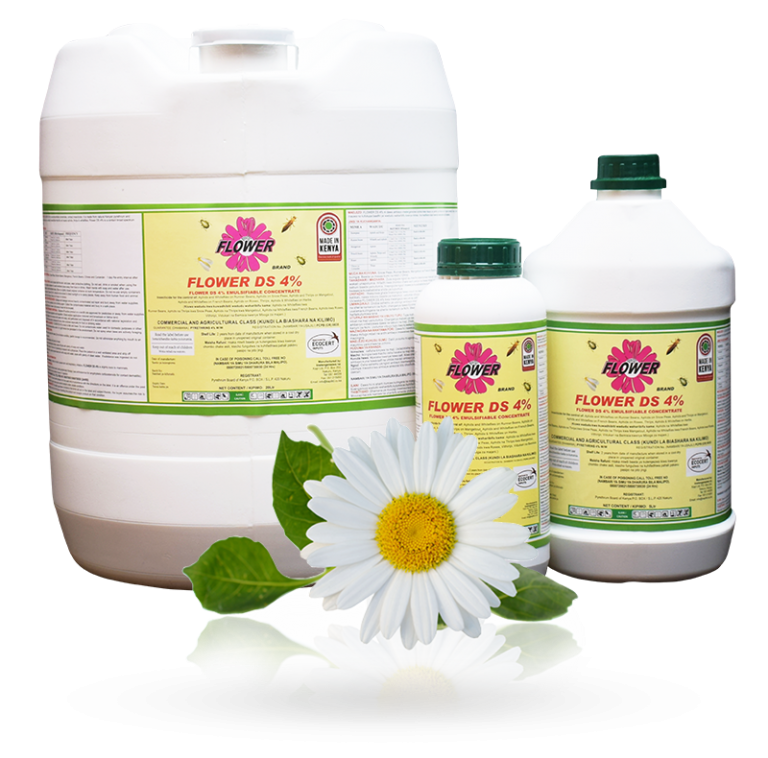 HOME - Kenyan Pyrethrum