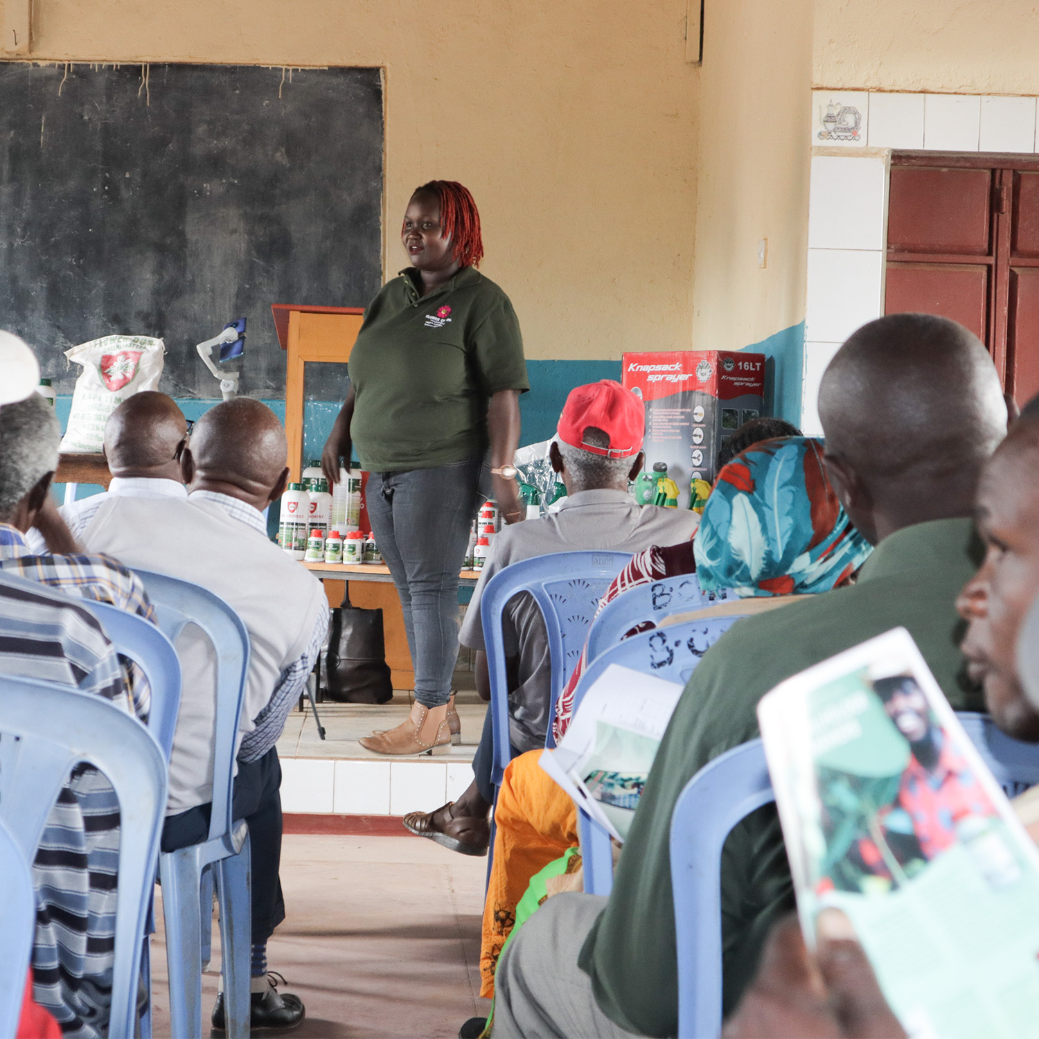 REACHING OUT TO SMALLHOLDER FARMERS – PART 2 - Kenyan Pyrethrum